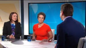 Amy Walter Net Worth, Career, Salary, Gay, Married, Wife! - Featured ...