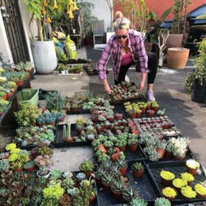 Suzanne List - Age, Bio, Wiki, Net Worth, Peyton List